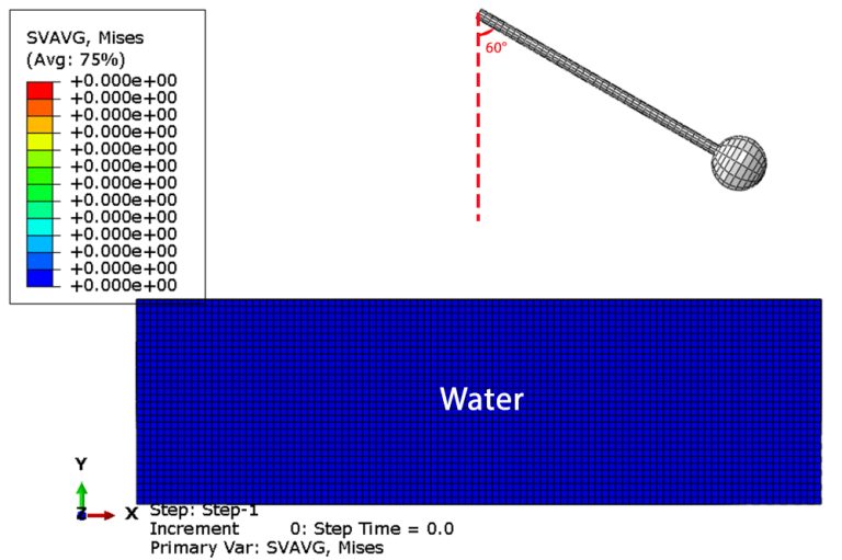 Entry of the pendulum into the water using coupled Eulerian-Lagrangian ...